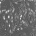 HumaCoat – Human Skin Collagen Type I, 1 mg/ml – Humabiologics, Inc