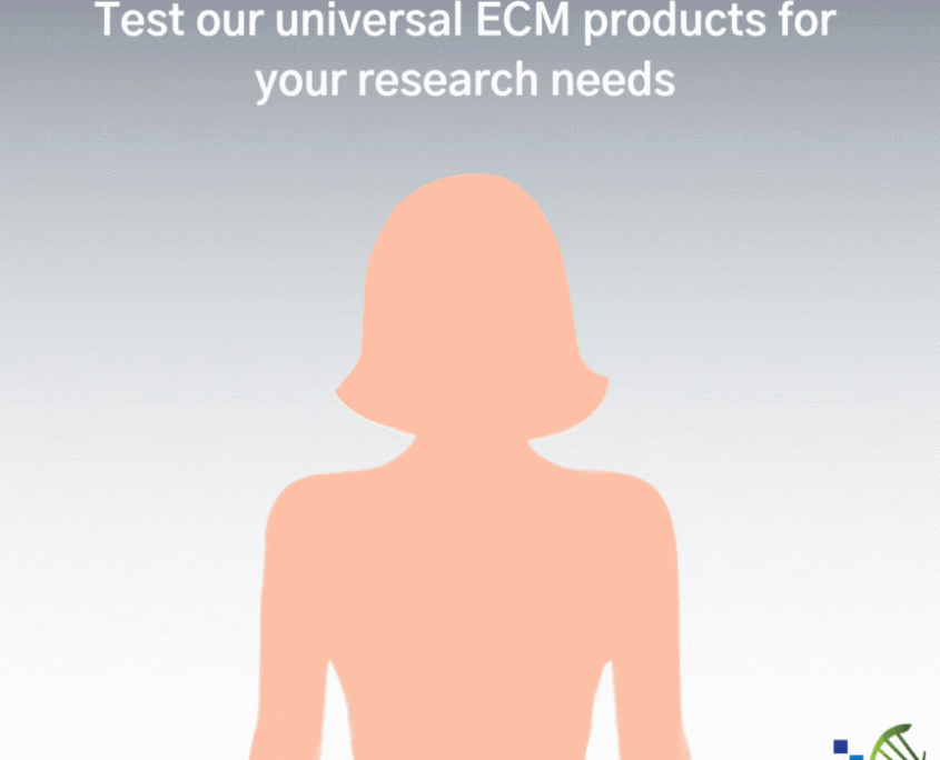 HumaMatrix®- Native Human-Derived ECM, Lyophilized - Humabiologics, Inc