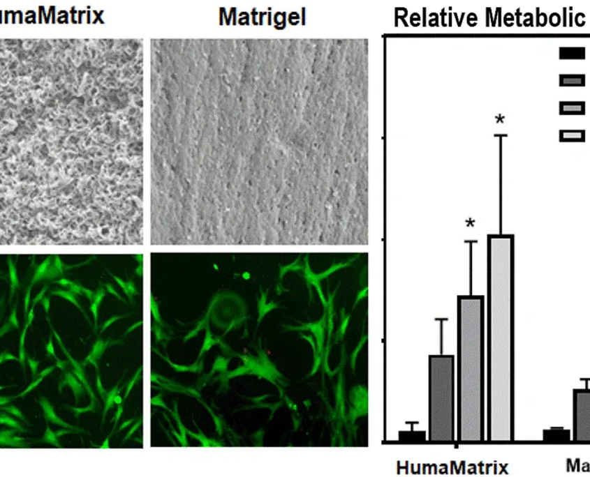HumaMatrix® Coat- Native Human-Derived ECM, 1 mg/ml – Humabiologics, Inc