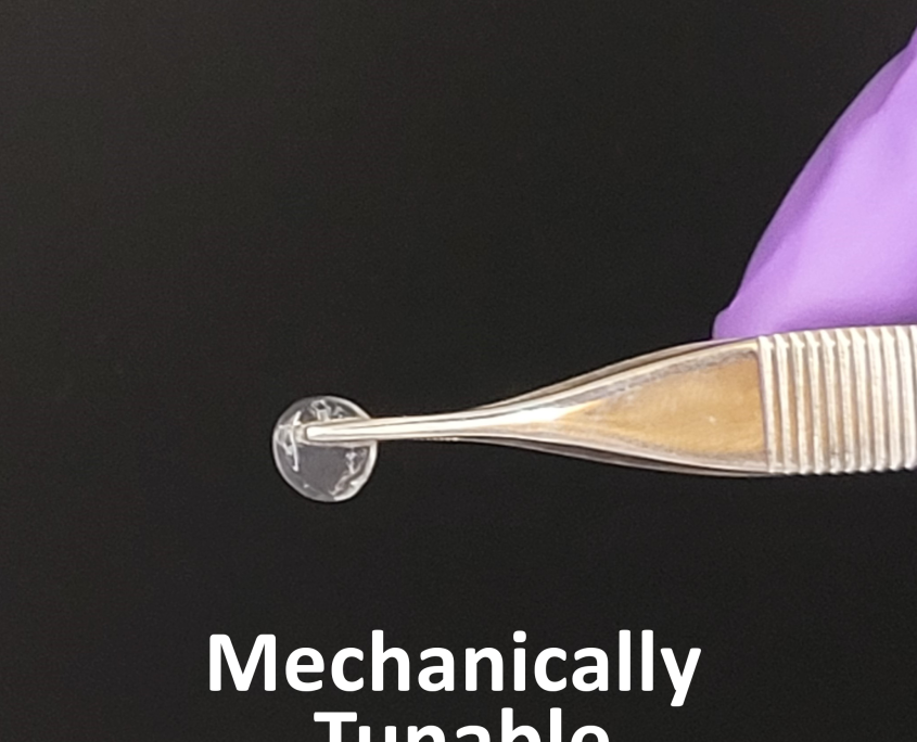 HumaDerMA®– Human Skin Collagen Type I Methacrylate, Lyophilized ...