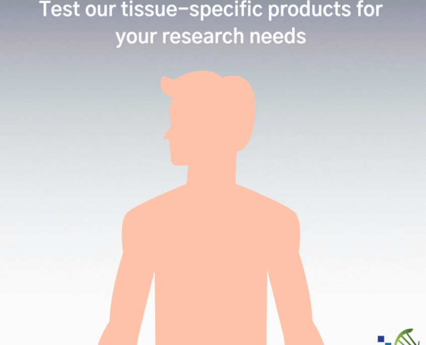 Huma OsteoMatrix Coat, Native Human-Derived Bone ECM, 1 mg/ml ...