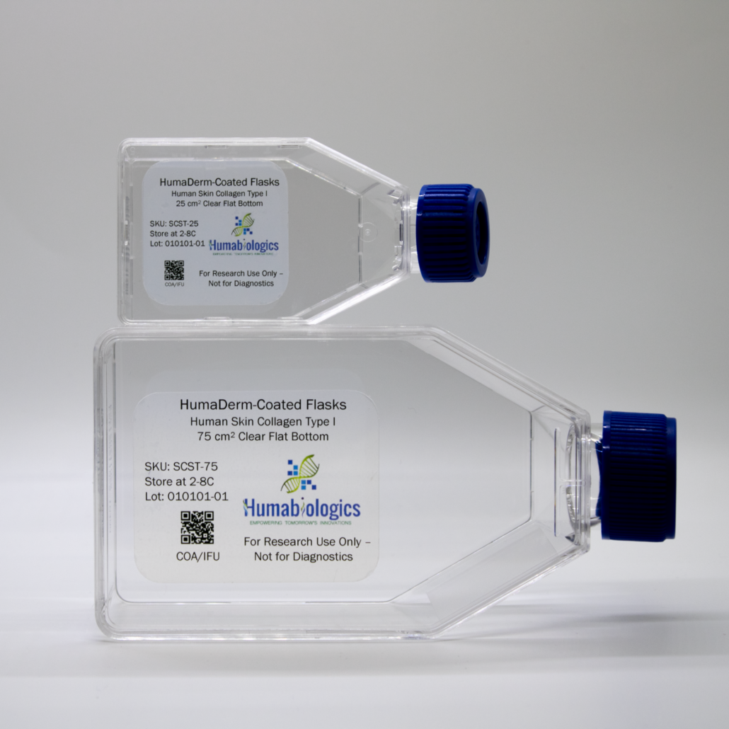 HumaDerm® Coated Flasks, Human Skin Collagen Type I - Humabiologics, Inc