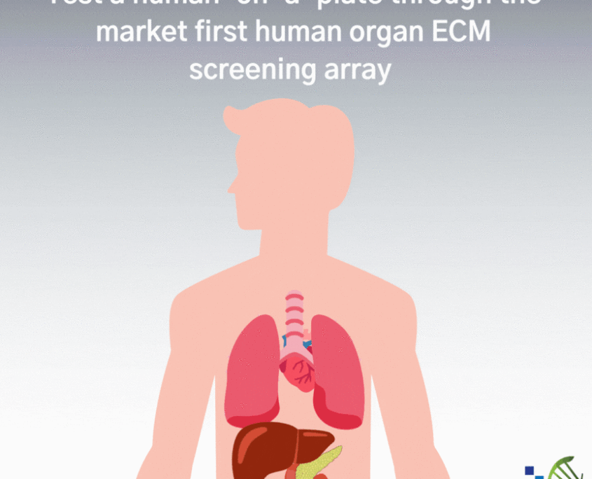 Huma CardioMatrix Coat, Native Human-Derived Heart ECM, 1 mg/ml ...