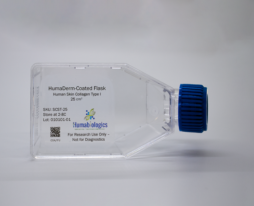 HumaDerm® Coated Flasks, Human Skin Collagen Type I - Humabiologics, Inc