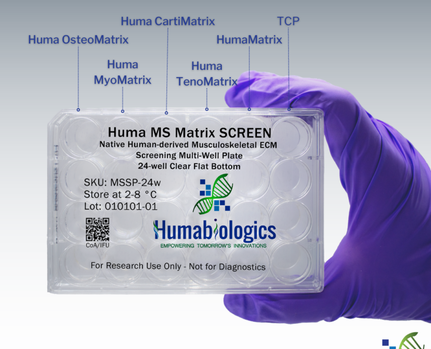 Huma MS Matrix SCREEN, Native Human-Derived Musculoskeletal ECM ...