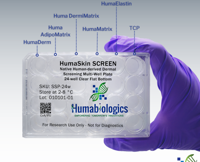 HumaSkin SCREEN, Native Human Dermal Screening Plate - Humabiologics, Inc
