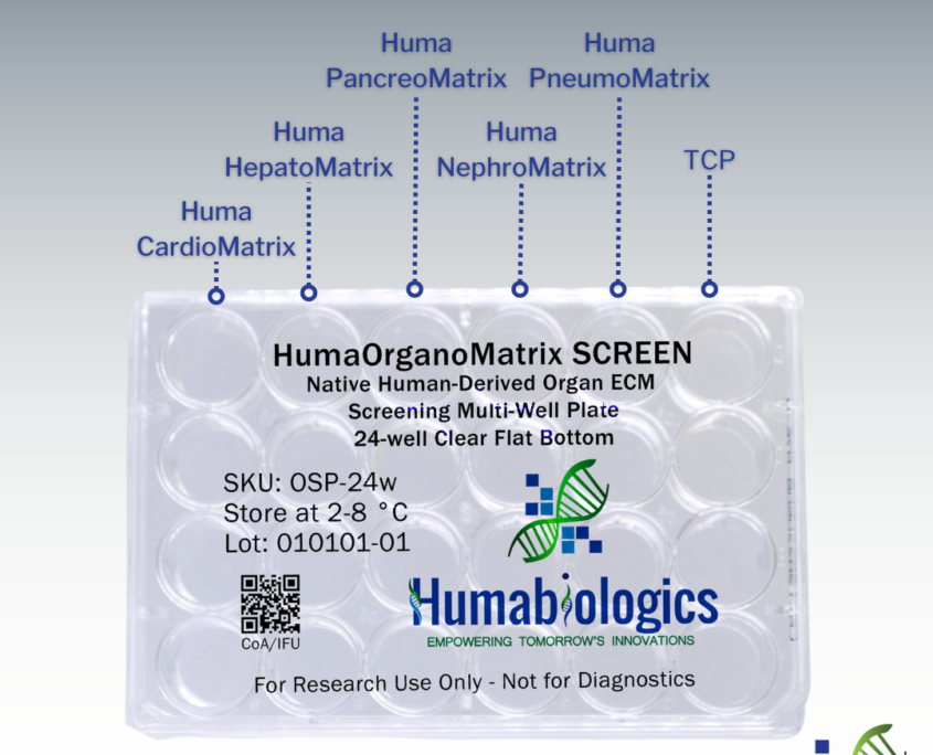 HumaOrganoMatrix SCREEN, Native Human Organ ECM - Humabiologics, Inc