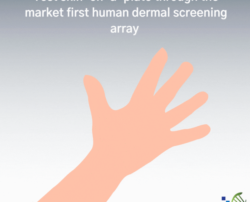 HumaSkin SCREEN, Native Human Dermal Screening Plate - Humabiologics, Inc