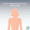HumaCoat – Human Skin Collagen Type I, 1 mg/ml – Humabiologics, Inc