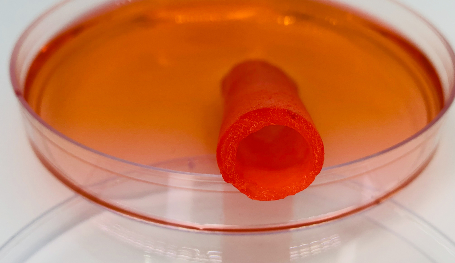 Humabiologics Expands to Winston-Salem’s Innovation Quarter to Advance ...